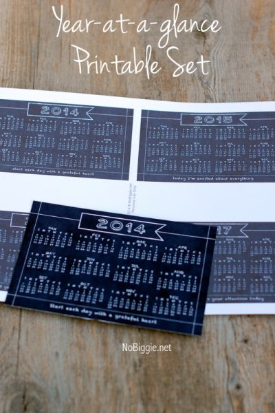 Year at a Glance Printable | NoBiggie