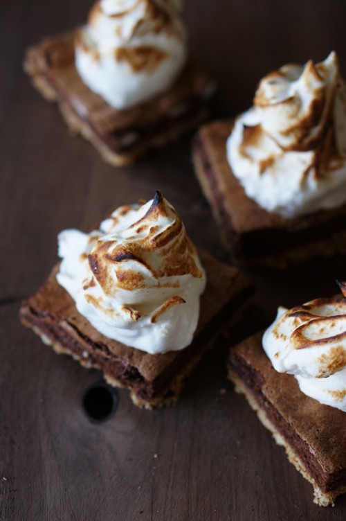 25+ Delicious S'mores Recipes | NoBiggie
