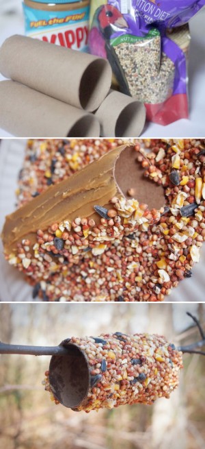 25+ Ways to Celebrate Earth Day | NoBiggie