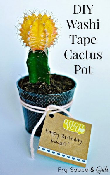 25+ Cactus Crafts and DIY | NoBiggie