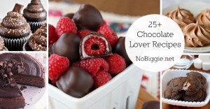 25+ Chocolate Lover Recipes | NoBiggie