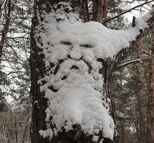 25+ Creative Snow Creations