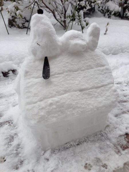 25+ Creative Snow Creations