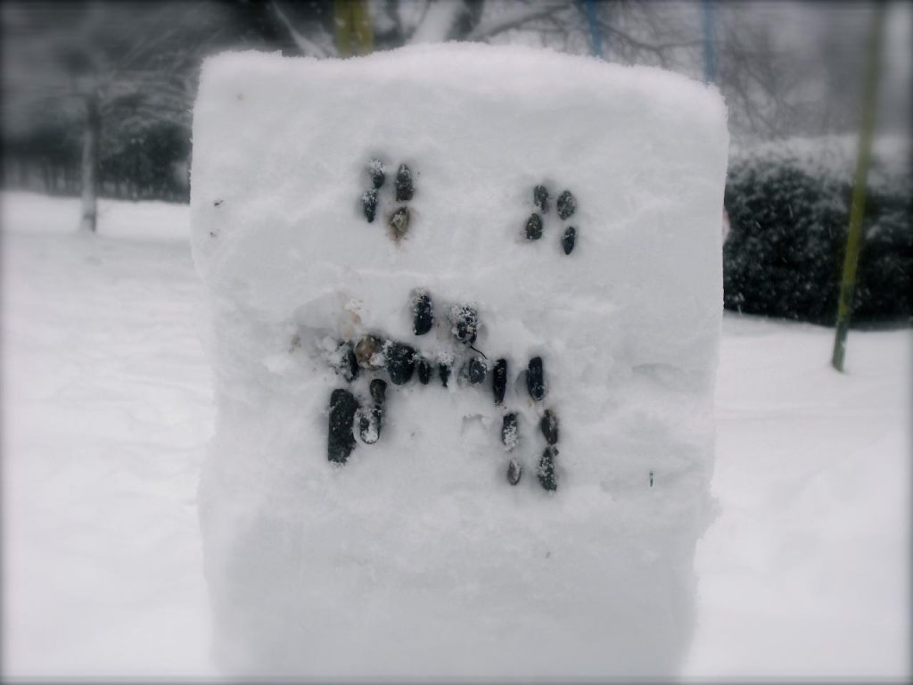 25+ Creative Snow Creations