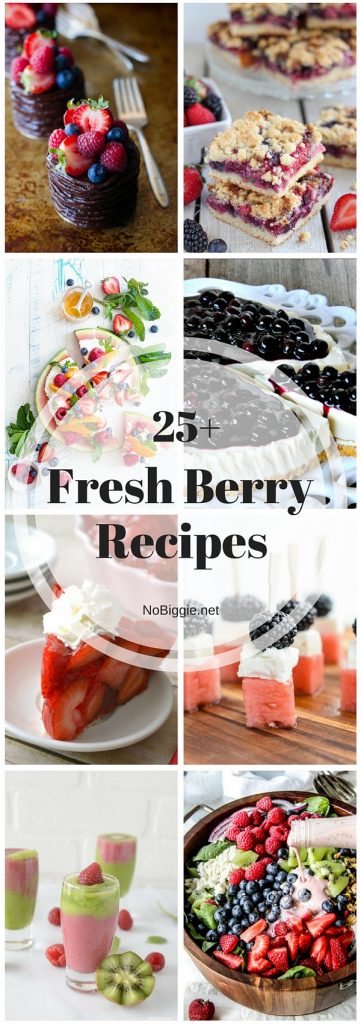 25+ Fresh Berry Recipes | NoBiggie