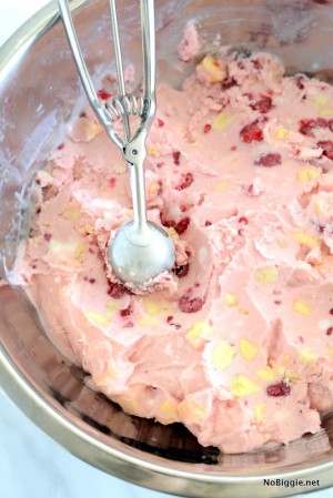 Frozen Raspberry Dessert | NoBiggie