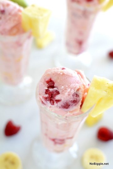 Frozen Raspberry Dessert | NoBiggie
