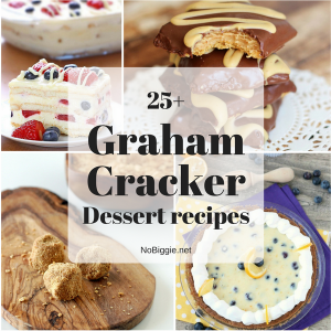 25+ Graham Cracker Dessert Recipes | NoBiggie