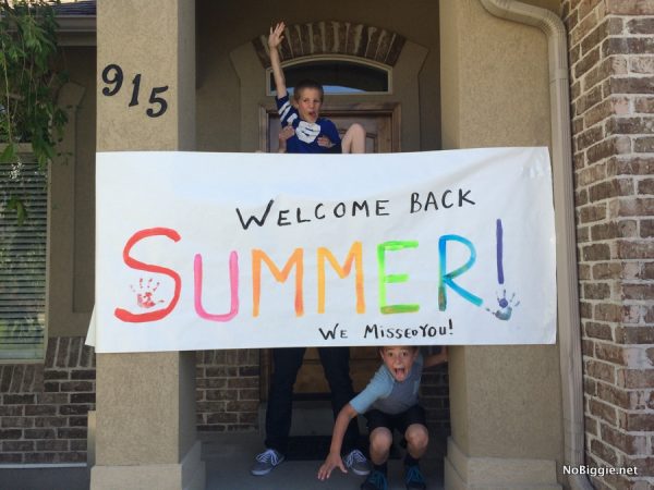 Welcome Summer Banner | NoBiggie