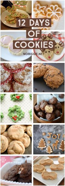 12 Days of Christmas Cookies | NoBiggie