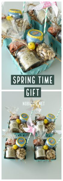Berry Basket Spring Time Gift | NoBiggie
