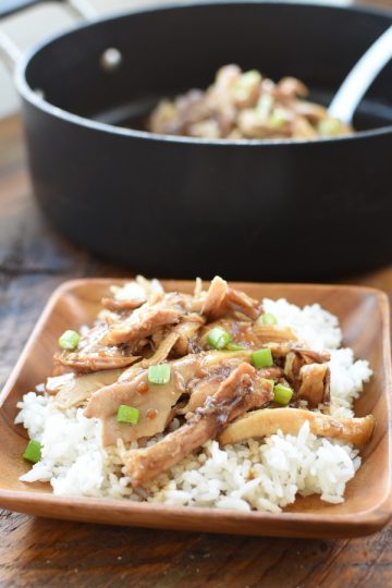 Easy Hawaiian Shoyu Chicken | NoBiggie